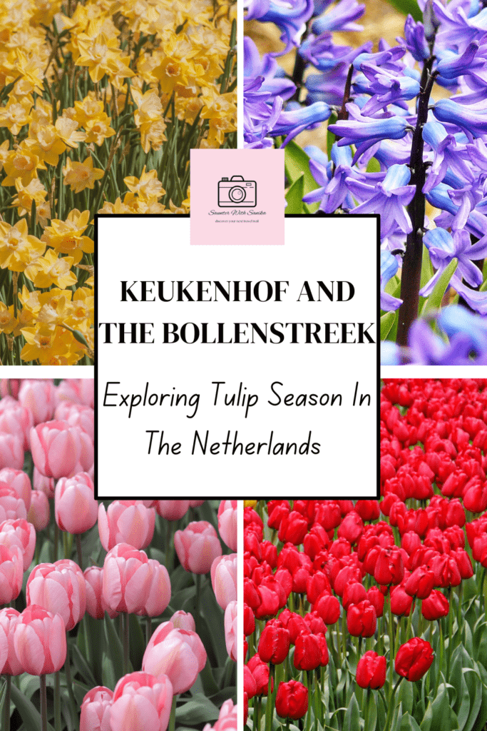 Exploring Keukenhof and Cycling The Bollenstreek Flower Routes ...